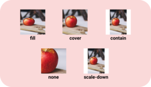 【CSS】CSSだけで画像をトリミングできる「object-fit」 | FASTCODING BLOG